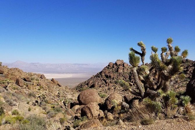 Half-Day Electric Bike Tour of Red Rock Canyon - The Bikes and Riding Experience