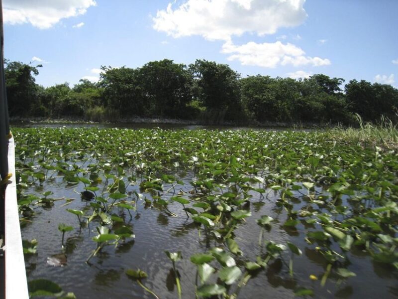 Half-Day Everglades Airboat Tours and Transportation - Final Thoughts: Who Should Consider This Tour?