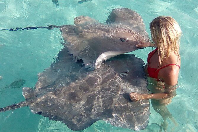 Half day Excursion, Drift Snorkeling Lagoon Adventure. 3H - Final Thoughts: Who’s This Tour For?
