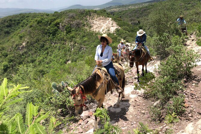 Half Day Excursion - Horseback Riding Adventure in SMA - Key Points