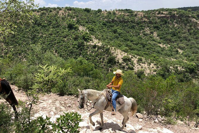 Half Day Excursion - Horseback Riding Adventure in SMA - Frequently Asked Questions