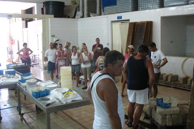 HALF DAY excursion - Marzamemi and Capo Passero by Boat - Key Points