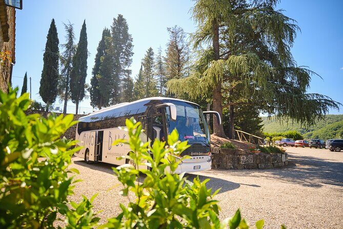 Half-day Experience to San Gimignano Hills with Picnic and Wine - First Impressions and Overall Value