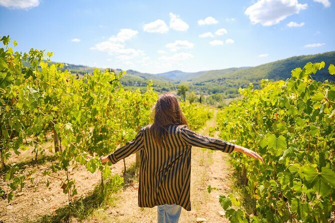 Half-day Experience to San Gimignano Hills with Picnic and Wine - FAQ