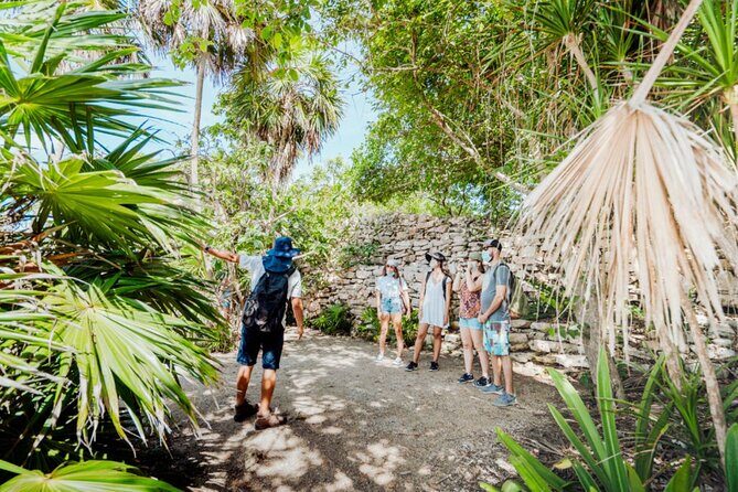 Half-Day Explore Tour of Tulum, Gran Cenote with Local Tacos - Detailed Examination of the Itinerary