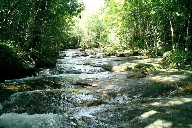 Half-day Exploring Phu Quoc Island by Bicycle - Cycling Through Rural Landscapes: From Suoi May to Suoi Tien
