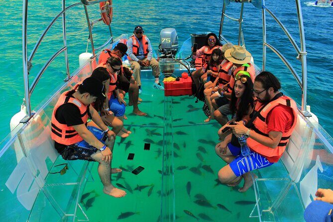 Half-Day Exploring the Arch of Cabo San Lucas Guided Tour - Pricing and Value