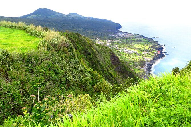 Half-Day Faial Island Tour from Horta - The Sum Up