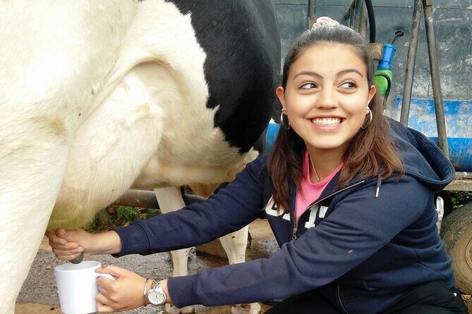 Half-Day Farm Visit and Cow Milking Experience - Transport and Group Size