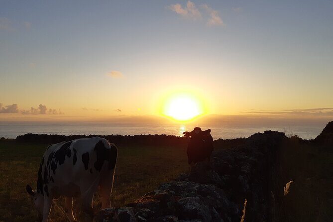 Half-Day Farm Visit and Cow Milking Experience - The Sum Up