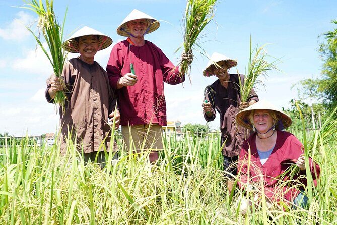 Half-day Farming life with wet rice from Hoi An - An In-Depth Look at the Experience