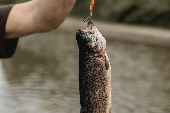 Half Day Fishing Adventure - The Fishing: Species, Success, and Satisfaction