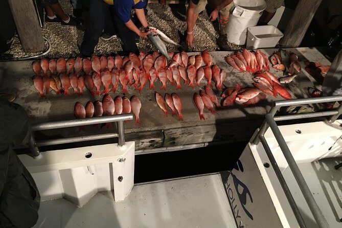 Half-Day Fishing Trip in Fort Lauderdale - Key Points