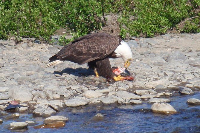 Half-Day Fishing Trip on the Kenai River - Frequently Asked Questions