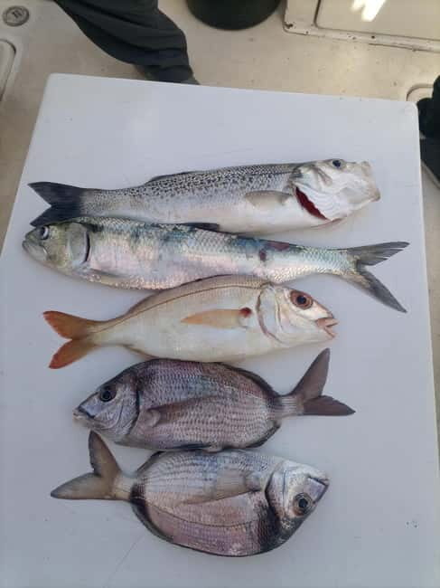 Half Day Fishing Trip - A Practical Look at the Half Day Fishing Trip near Lisbon