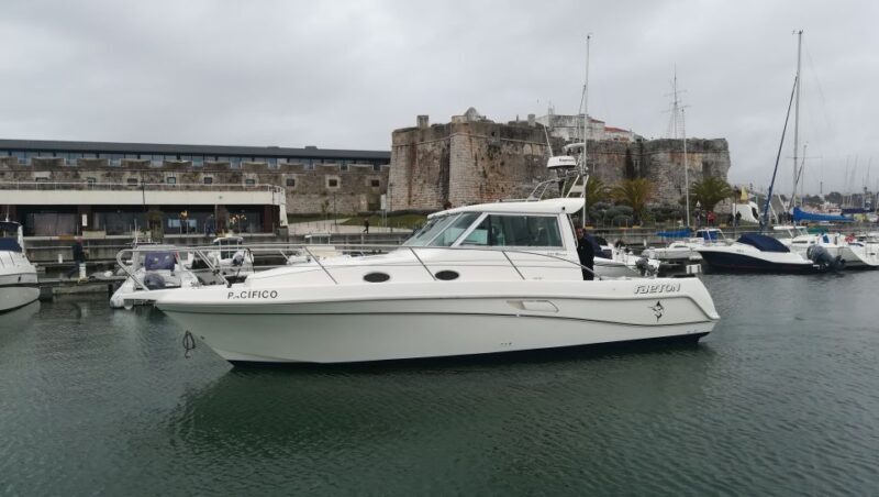 Half Day Fishing Trip - Practical Details for Travelers