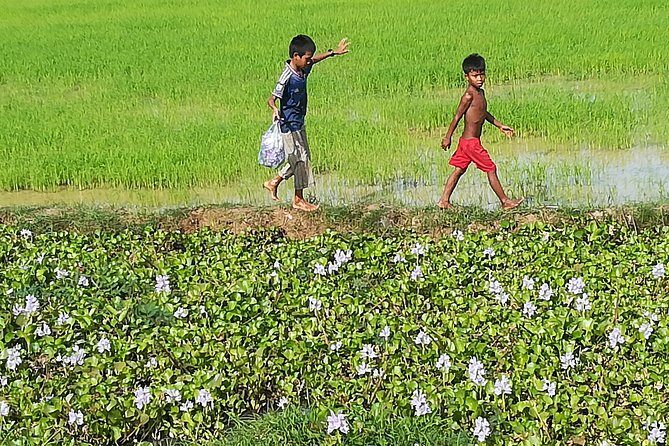 Half Day Floating Village ( Mechrey) & Tole Sap Tour - The Practical Side