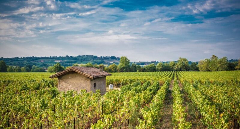 Half-Day Food and Wine Experience in Franciacorta - Who Should Consider This Tour?