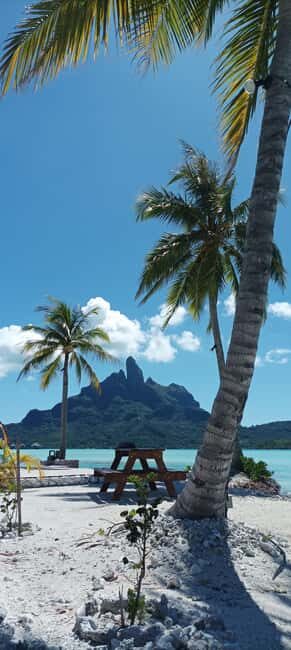 Half day for Snorkeling, Legends, History with O-sea Bora - The Sum Up