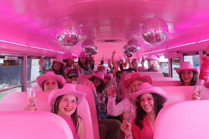 Half-Day Fredericksburg Bubbly Booze Night Bus Guided Experience - The Basics: What You’re Signing Up For