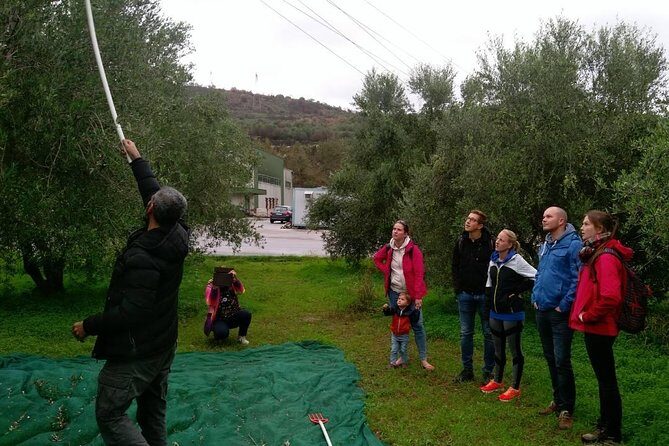 Half-Day Georgioupolis Off-Road Adventure with Meal - Who Would Enjoy This Tour?