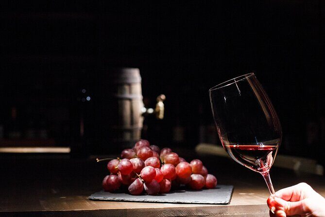 Half-Day Gramma Wine Tasting Tour in Iasi - Exploring the Winemaking Experience at Gramma Winery