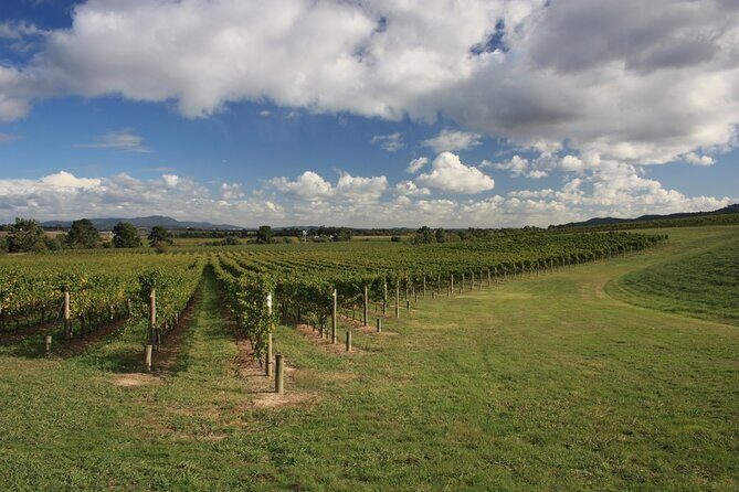 Half-Day Gramma Wine Tasting Tour in Iasi - Frequently Asked Questions