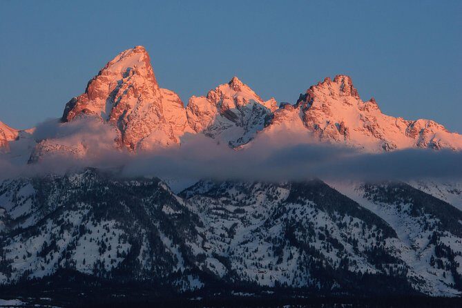 Half-Day Grand Teton Wildlife Private Safari Tour - Who Will Enjoy This Tour?