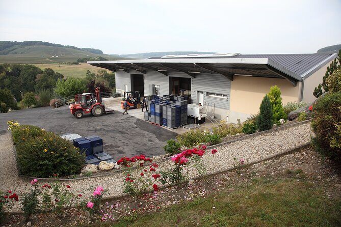 Half Day Grape Harvest Experience with Tasting in Epernay - Practical Tips for Travelers