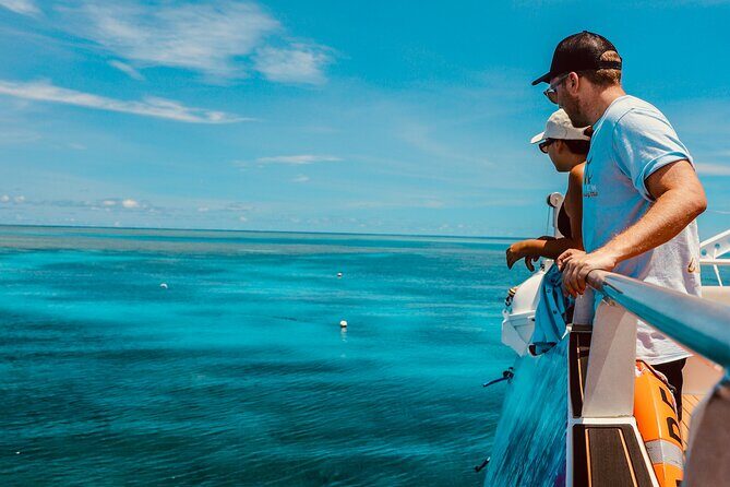 Half Day Great Barrier Reef Snorkeling Tour - An In-Depth Look at the Tour