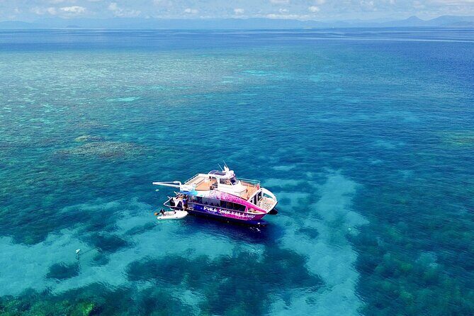 Half Day Great Barrier Reef Snorkeling Tour - The Itinerary in Detail