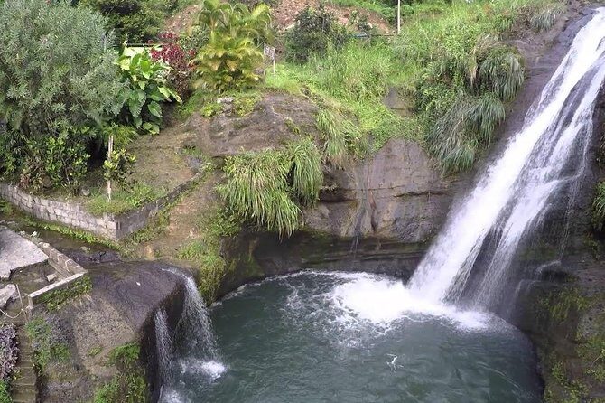 Half-Day Grenada Island Small-Group Sightseeing Tour - What We Think About the Tours Value