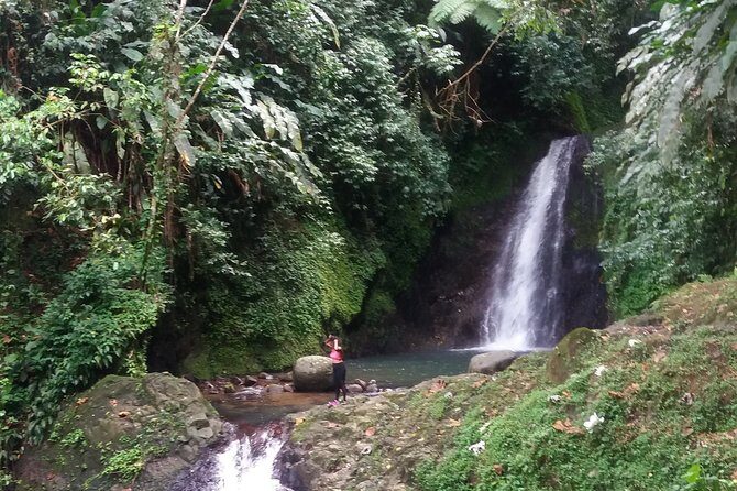 Half Day Grenada Seven Sisters, Grand Etang Nature Center Hiking Tour - Who Will Love This Tour?