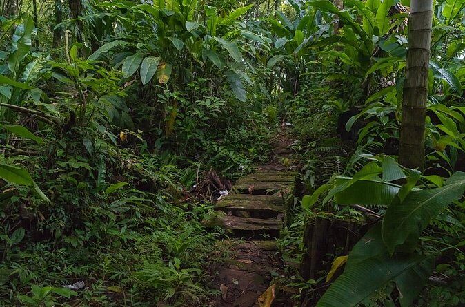 Half Day Grenada Sunshine Highlights Tour - Final Thoughts