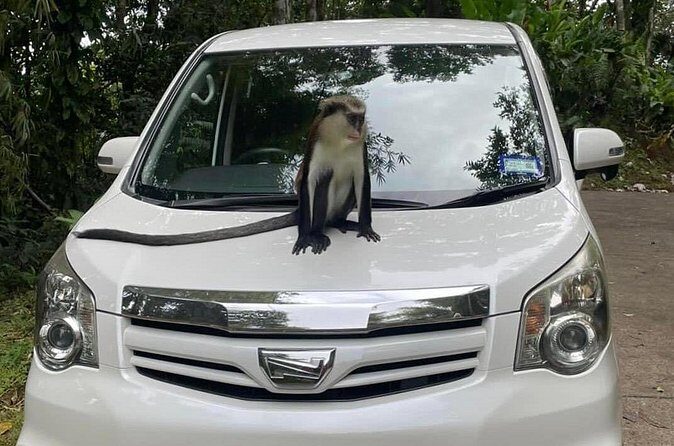 Half-Day Grenada Tour With Easy - Final Thoughts