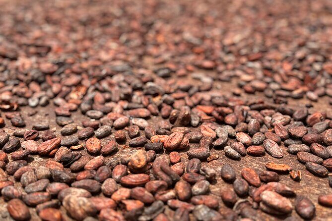 Half-Day Grenada Tour With Easy - Frequently Asked Questions