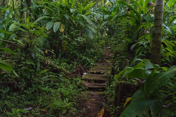 Half Day Grenada Wonders Tour - Key Points