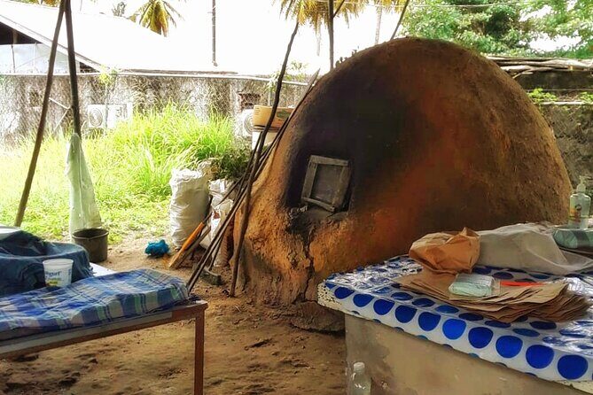 Half Day Group Tour to Tobago Atlantic Coast - The Itinerary in Detail: What to Expect