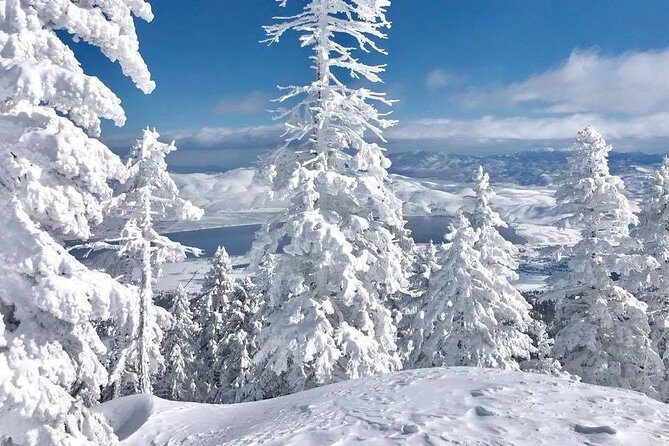 Half-Day Guided Backcountry Ski Touring Experience near Incline Village - The Itinerary: What You Can Expect