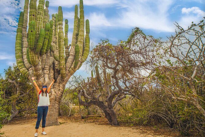 Half Day Guided Camel Safari in Cabo San Lucas - Exploring the Itinerary in Detail