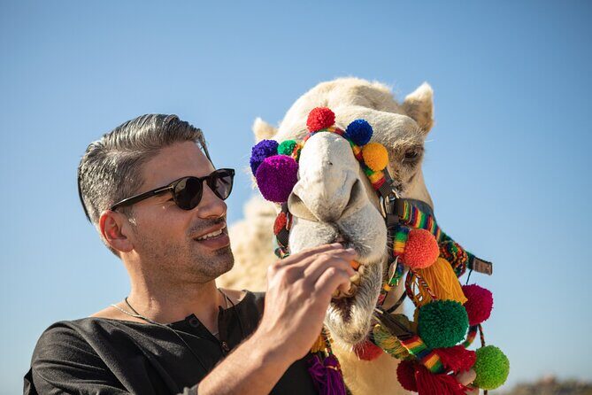Half Day Guided Camel Safari in Cabo San Lucas - Who Should Consider This Tour?