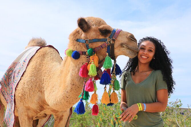 Half Day Guided Camel Safari in Cabo San Lucas - Final Thoughts: Who Will Love This Experience?