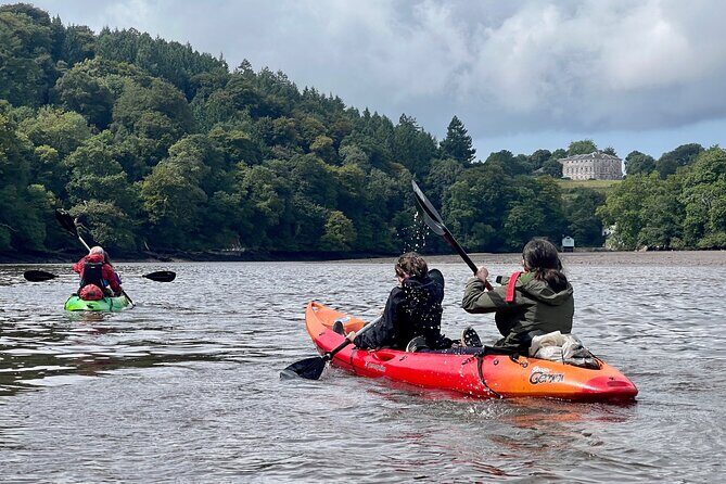 Half Day Guided Canoe Trip in Totnes - Practical Tips