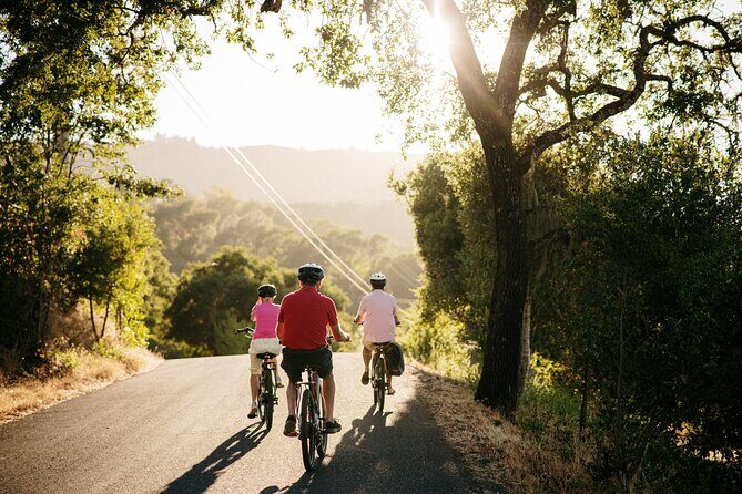 Half Day Guided Electric Bike Wine Tasting Tour with Lunch - A Closer Look at the Tour: What to Expect