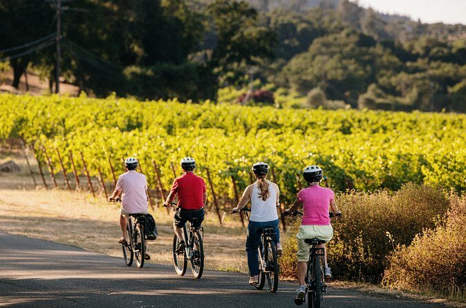 Half Day Guided Electric Bike Wine Tasting Tour with Lunch - The Sum Up: Why It’s a Wonderful Choice
