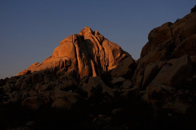Half-Day Guided Hike in Joshua Tree National Park - FAQ