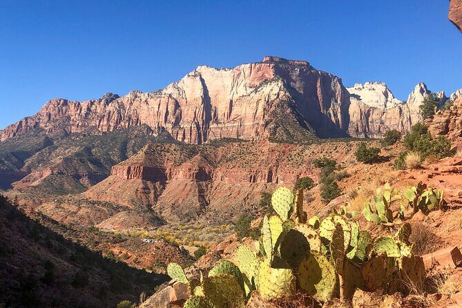 Half Day Guided Hike in Zion National Park - An In-Depth Look at the Zion Experience