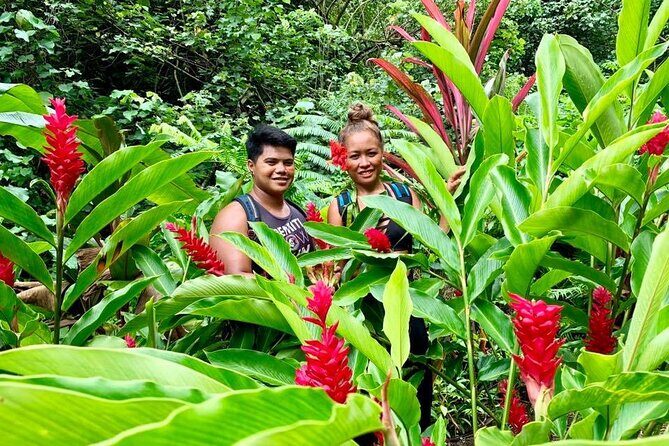 Half-Day Guided Hike to Afareaitu Waterfall - What Reviewers Say About the Tour