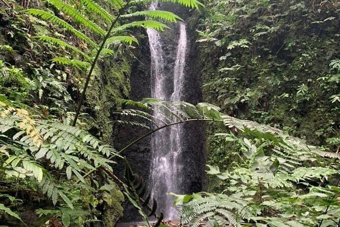 Half-Day Guided Hike to Afareaitu Waterfall - Introduction