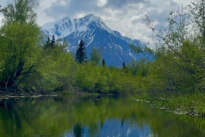 Half-Day Guided Kayak Tour on Knik River - What to Expect: The Experience in Detail